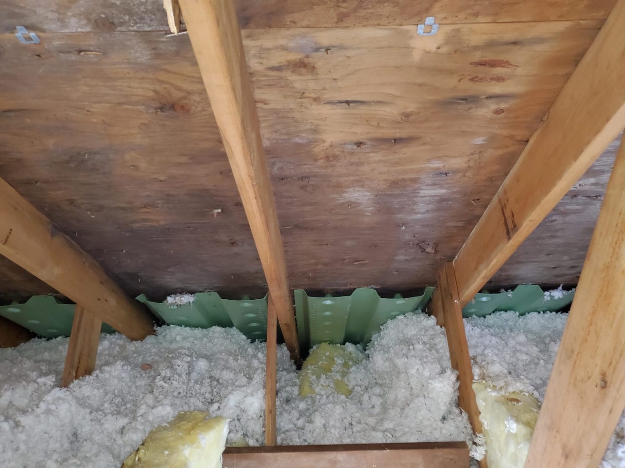 Mold Remediation Portland | Mold Remediation Maine
