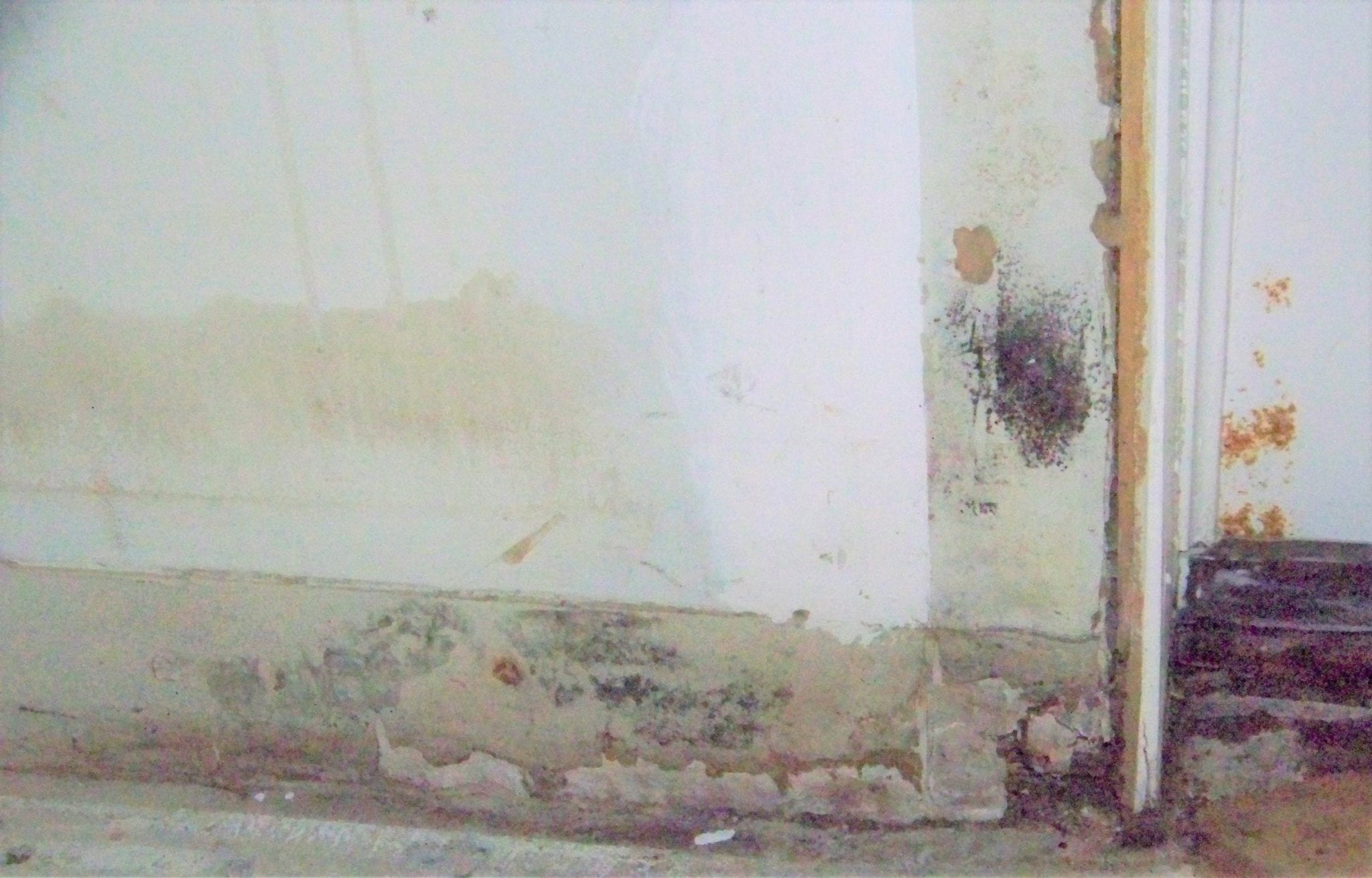 Mold Remediation Portland | Mold Remediation Maine