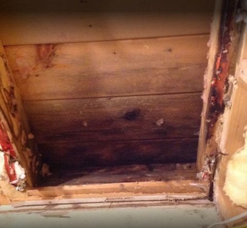 Mold Remediation Portland | Mold Remediation Maine | Enviroclean
